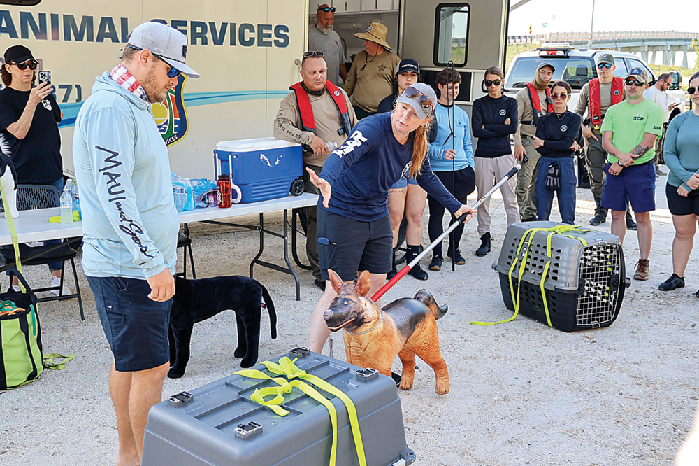 PHOTO GALLERY | Lee County Animal Services Technical Rescue Team water ...
